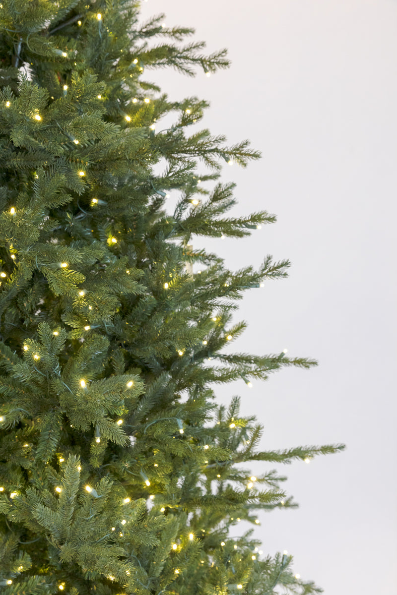 Wasatch Frasier Christmas Tree – Modern Display