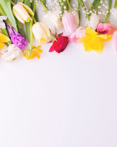 Modern Display: Your Premiere Seasonal Decor & Gifts