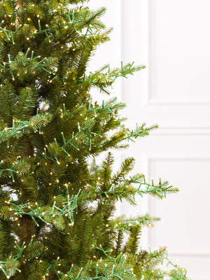 Modern Display: Your Premiere Seasonal Decor & Gifts